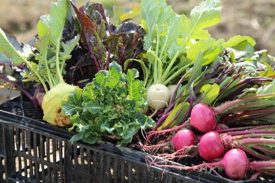 【JONAI SQUARE10の魅力】城内大変！サガテレビ1Fにおしゃれな複合施設がOPEN！｜EDITORS SAGA