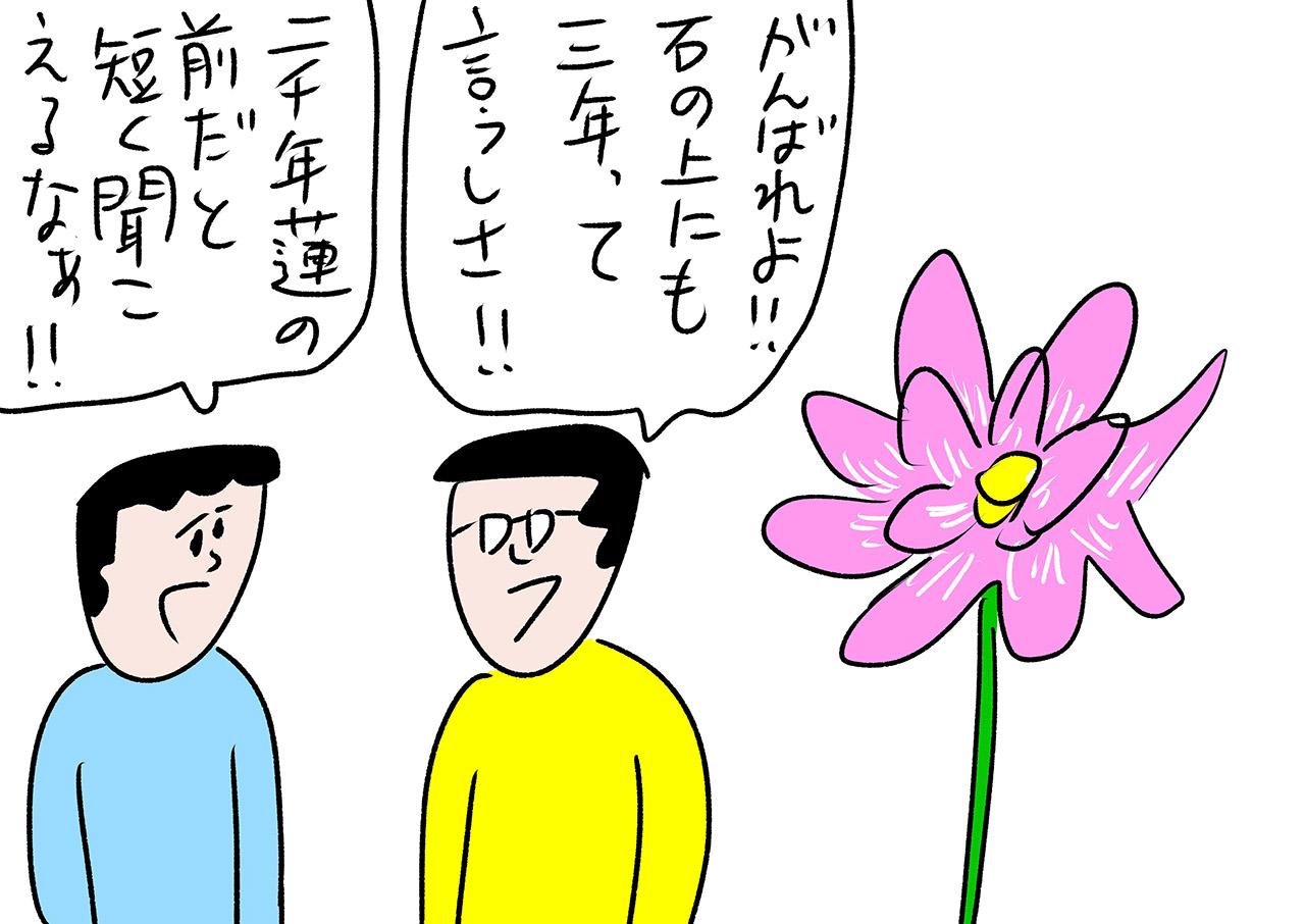 さがまんが vol.300「ことわざが軽くなる」｜おほしんたろう｜EDITORS SAGA